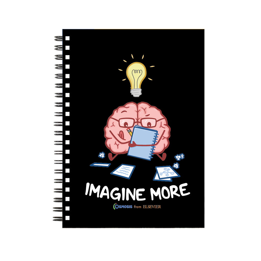 Imagine More Notebook – Osmosis Shop
